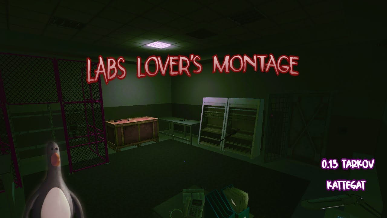 LABS LOVER'S MONTAGE - YouTube