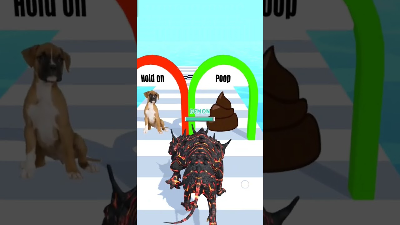 Doggy run gameplay walkthrough 🐕🥰 | All levels | Android, iOS mobile ...