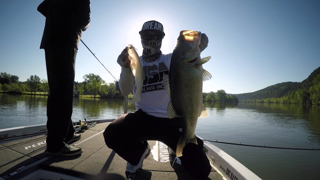 Bass Fishing with the Megabass 10 Inch Magdraft Swimbait - YouTube