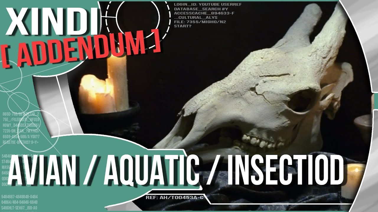 XINDI AVIAN-AQUATICS-INSECTOID: Index Addendum - YouTube