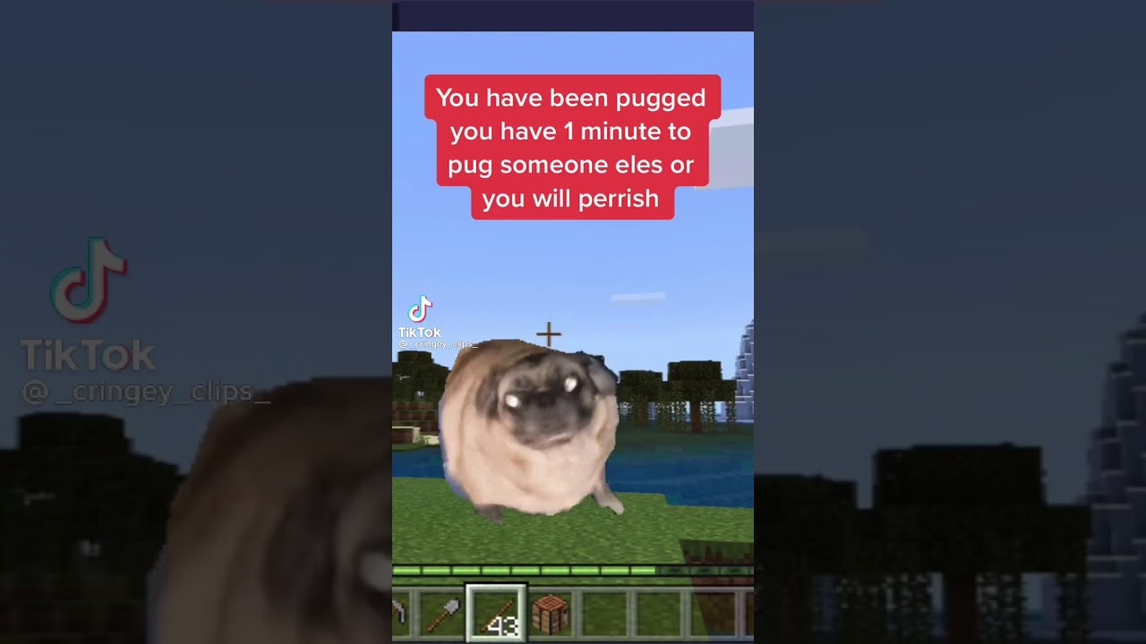 You Have Been Pugged Meme #shorts - YouTube