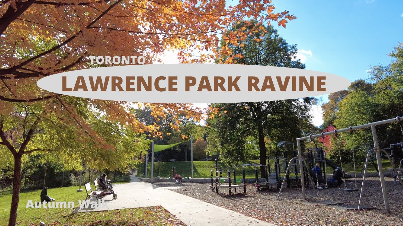[Autumn Walk] Chasing Fall Colours 🍂🍂🍂 I Lawrence Park Ravine I Toronto ...