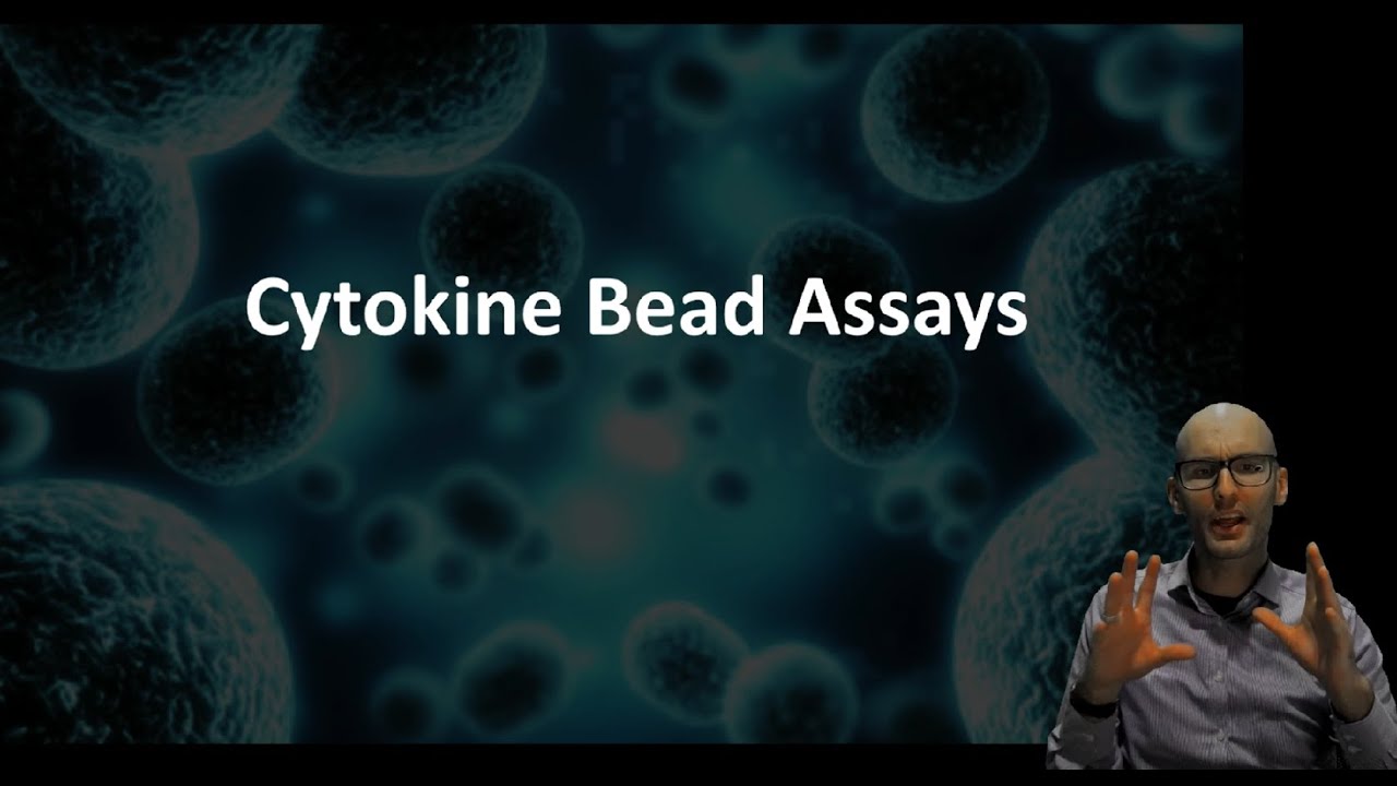 How does a cytokine bead assay work? - YouTube