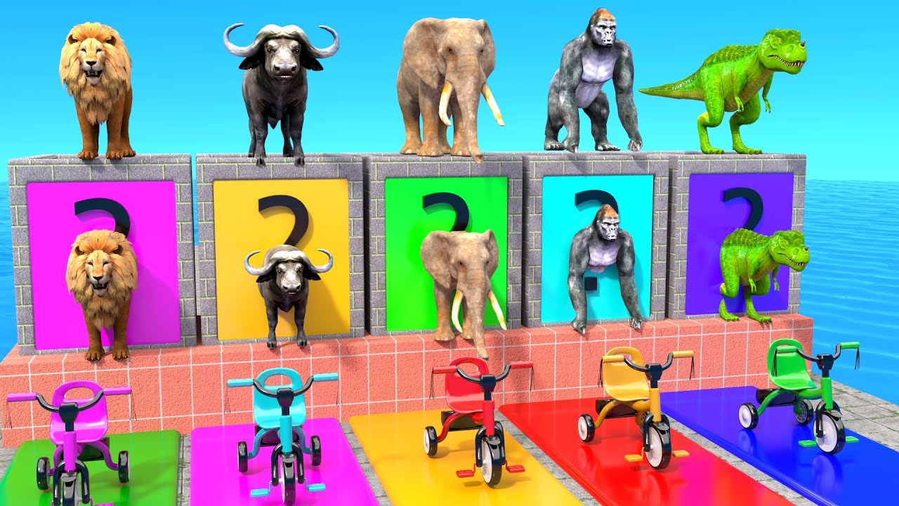 Long Slide Game With Lion Elephant Gorilla Dinosaur Buffalo - 3d Animal ...