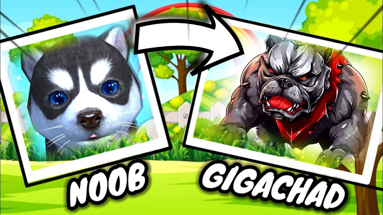 I Became A Gigachad Dog In Dog Simulator 3D - YouTube