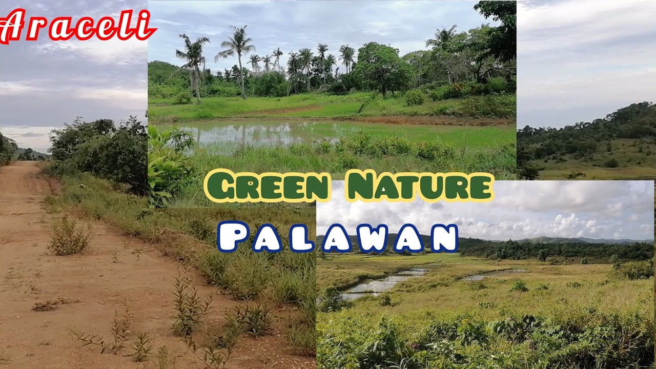 Natural green resources at Araceli Palawan. - YouTube