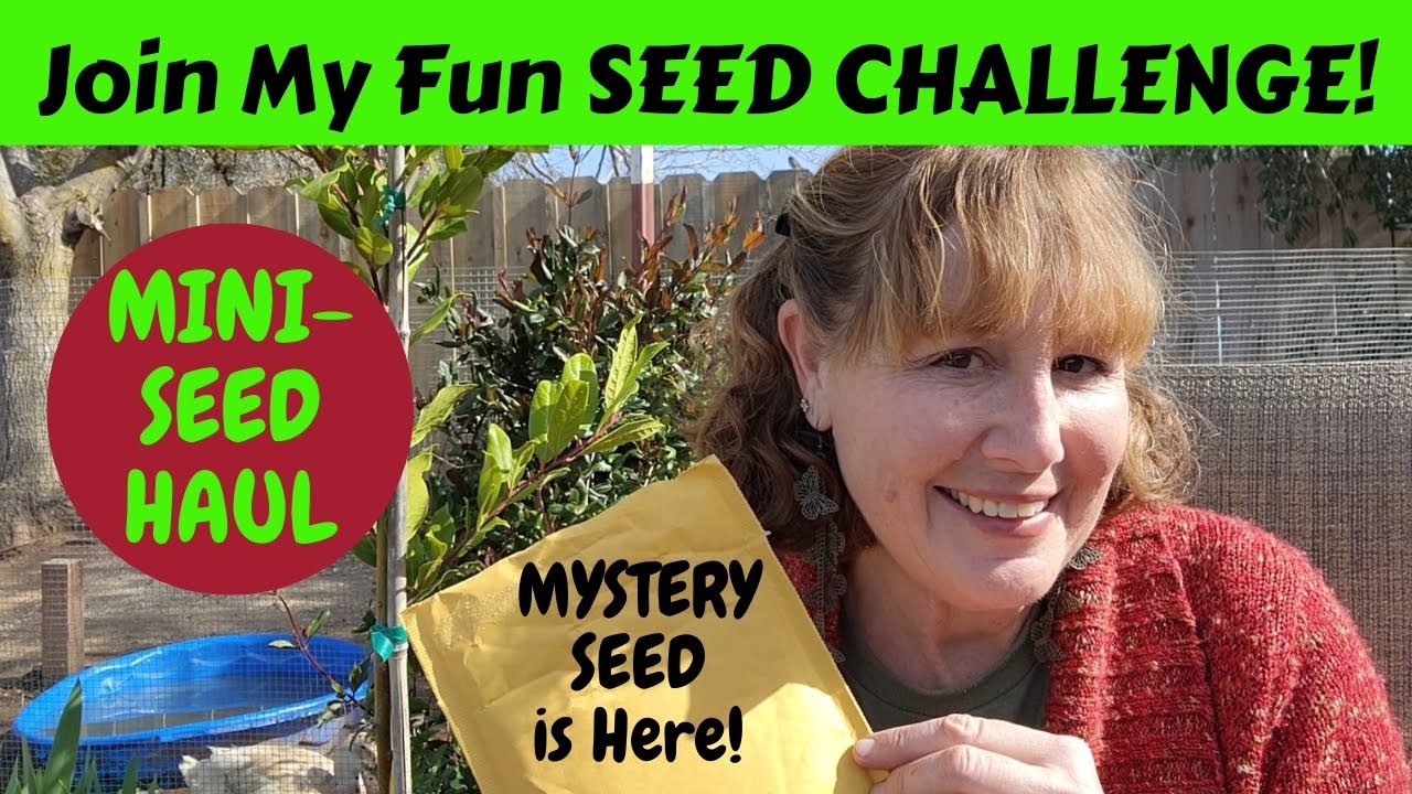 2nd SEED HAUL ~ MYSTERY SEED! ~ FUN Seed Challenge! - YouTube