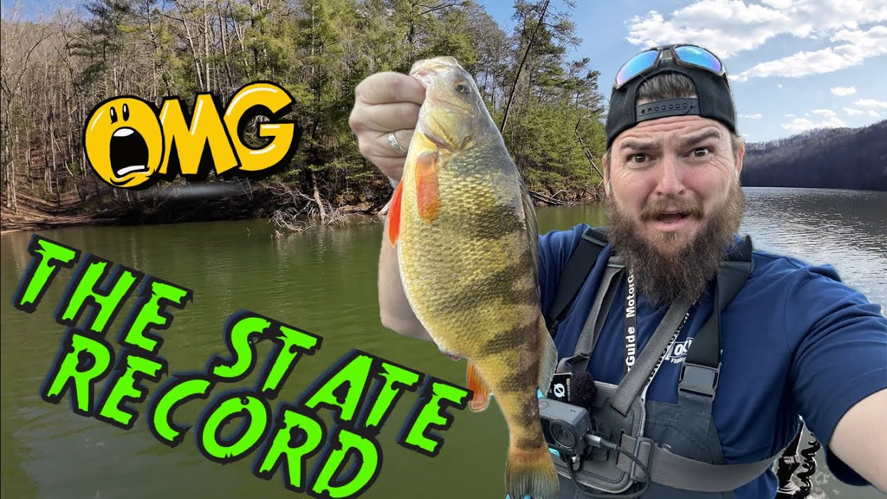 CATCHING AND THROWING BACK THE STATE RECORD PERCH (what was I thinking ...