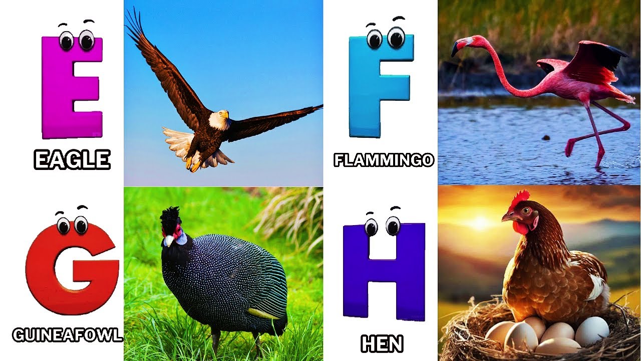 ABC Birds Song | Real Animals Song | Learn English, Alphabets and ...