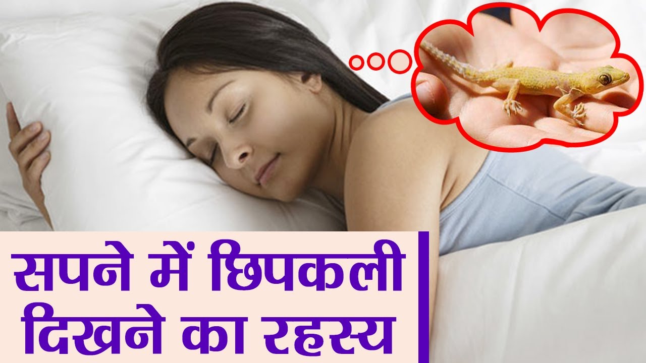 Lizard in Dream: सपने में छिपकली दिखने की हो सकती है ये बड़ी वजह ...