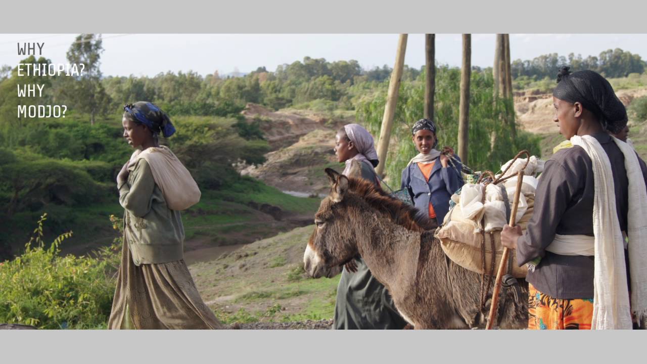 Modjo Leather City. An Inclusive and Sustainable Leather District - YouTube