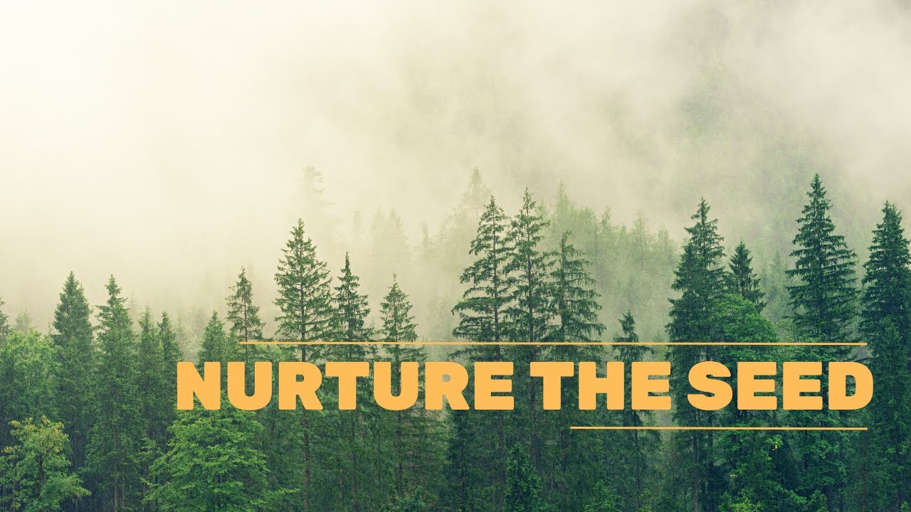 Nurture The Seed | John Birge - YouTube