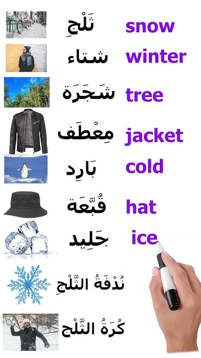 Unlock Arabic Secrets: Beginner Vocabulary Guide #wealth #arabic # ...