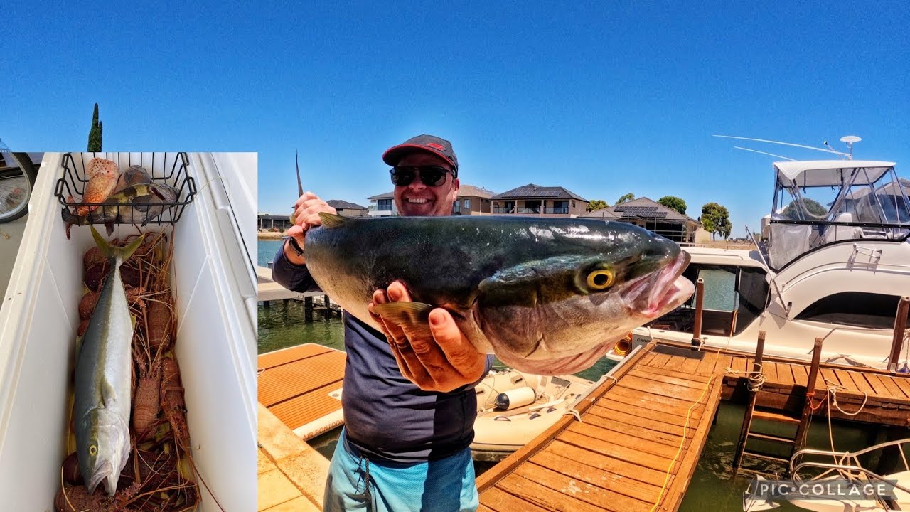 We Caught Monster Kingfish And Crayfish - Western Rock lobster - YouTube