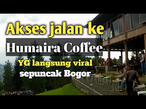 Humaira coffee baru soft opening langsung viral di puncak Bogor, jangan ...