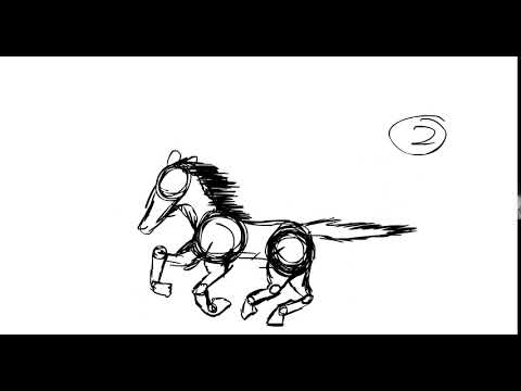 horse galloping loop (ROUGH ANIMATION) - YouTube