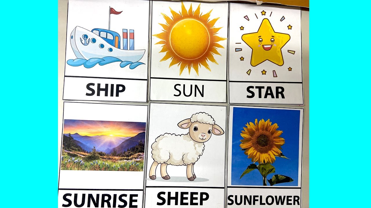 ABCD | Alphabets S for sun | Letter s | Abcd Alphabets | S for star ...