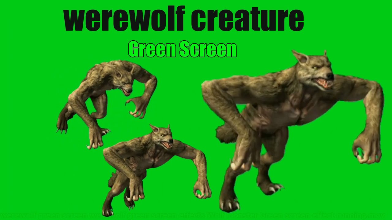 Werewolf green screen | Werewolf green screen effects | Wolf Monster ...