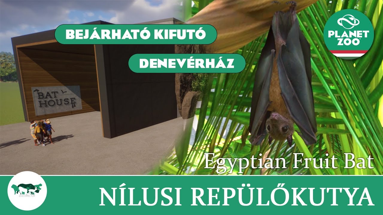 📐 Nílusi Repülőkutya Denevérház | Egyptian Fruit Bat | Gyorsépítés ...