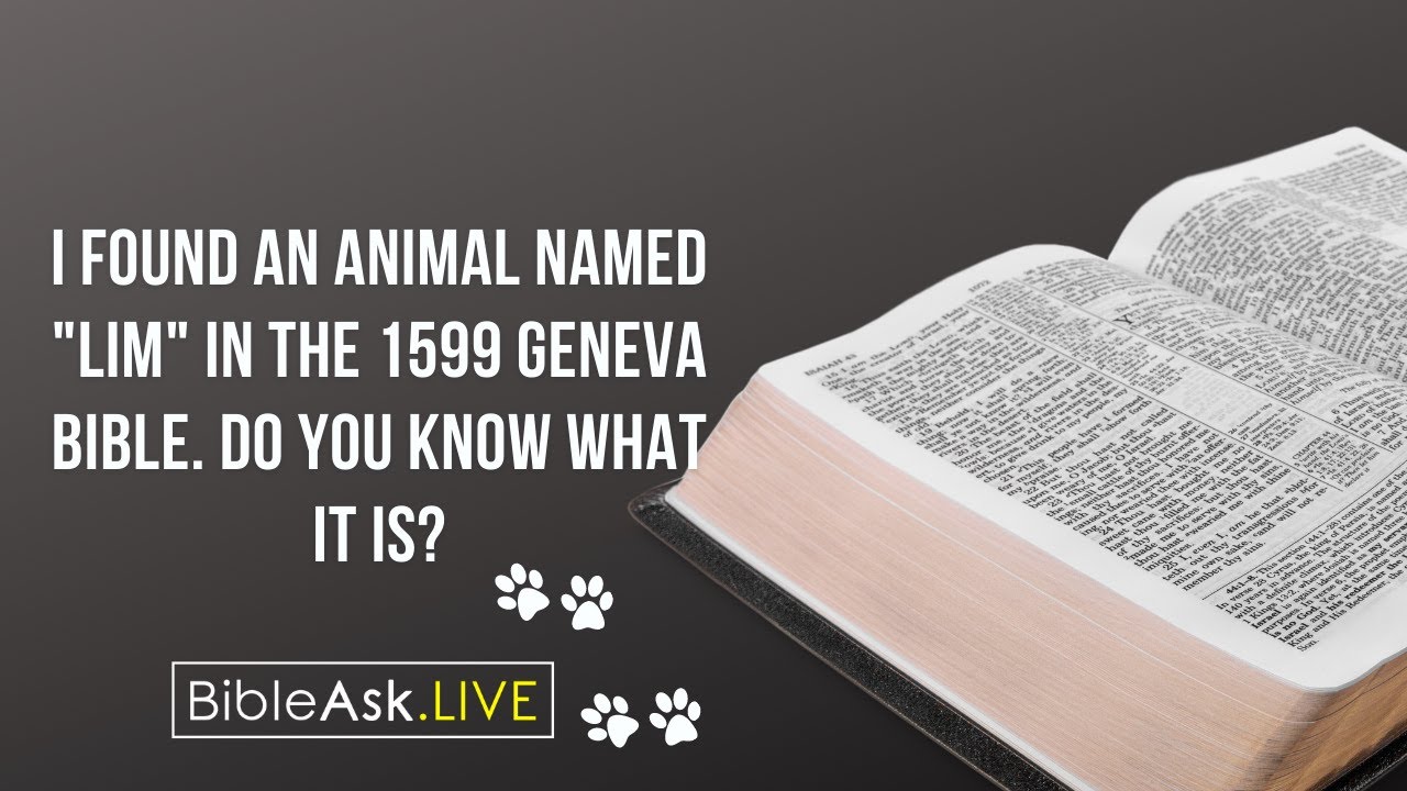 I found an animal named "Lim" in the 1599 Geneva Bible. Do you know ...