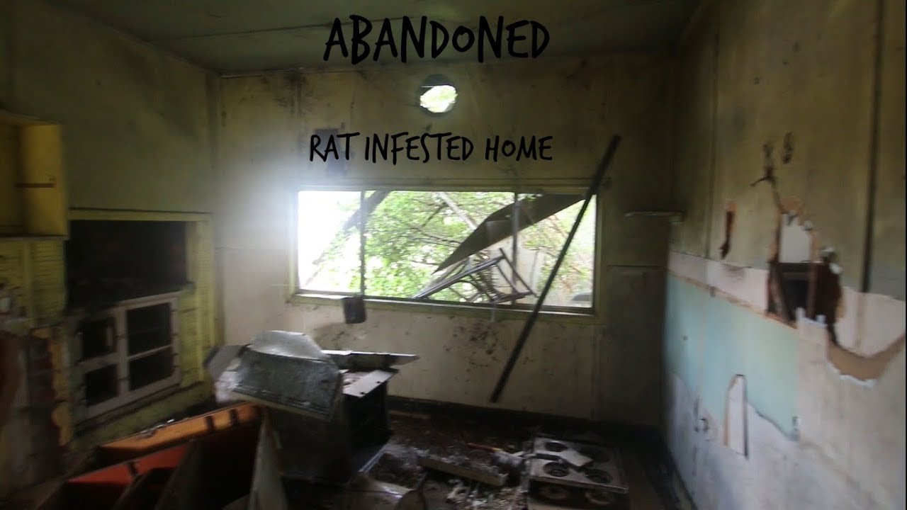 Abandoned - Rat Infested home - YouTube