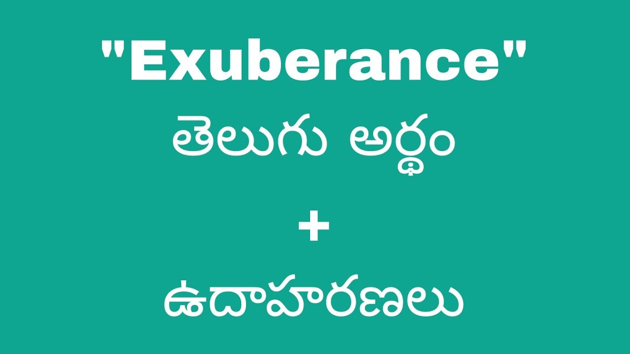 Exuberance meaning in telugu with examples | Exuberance తెలుగు లో అర్థం ...