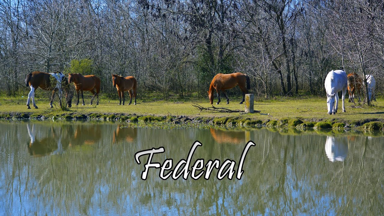 Federal, Entre Ríos - YouTube