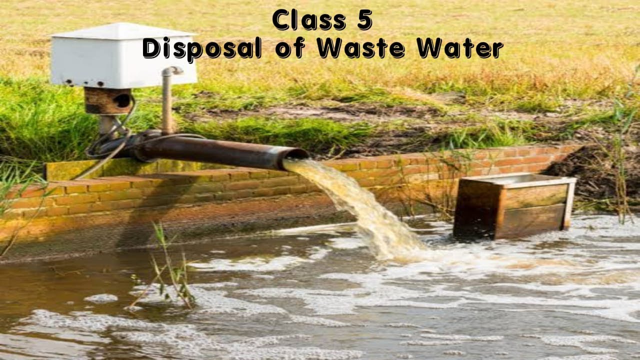 Disposal of waste water class 5 Enviromental studies maharasthra board ...