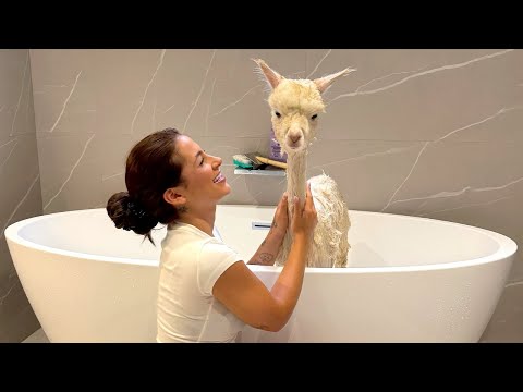 PRIMEIRO BANHO DA ZUZU, NÃO ESPERAVAMOS POR ISSO!!!