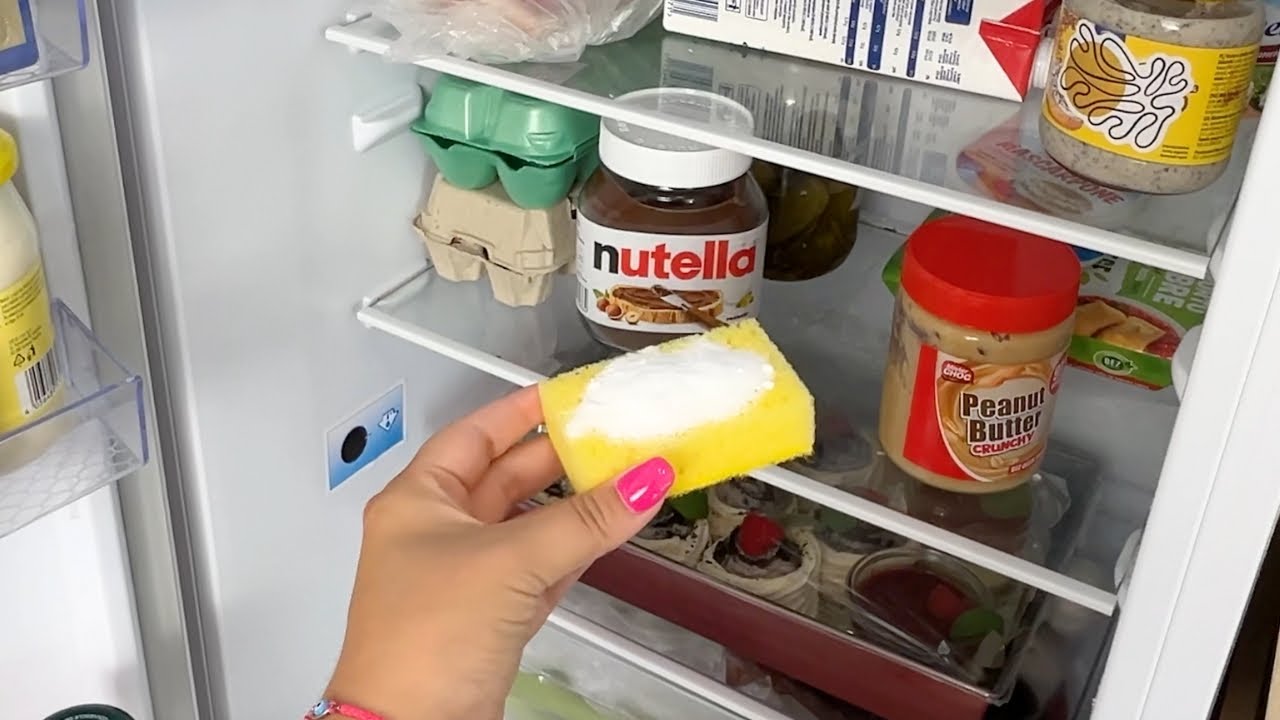 Put the sponge in the fridge. I'm sure you'll thank me for it! - YouTube