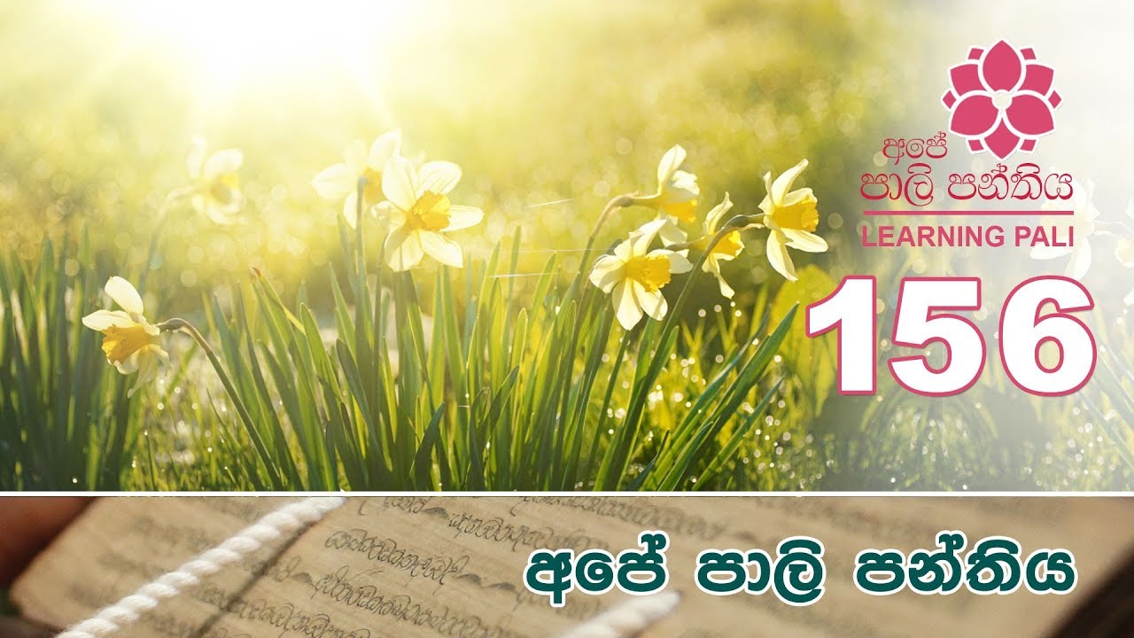 Learning Pali language 156 | අපේ පාලි පන්තිය 156 - YouTube