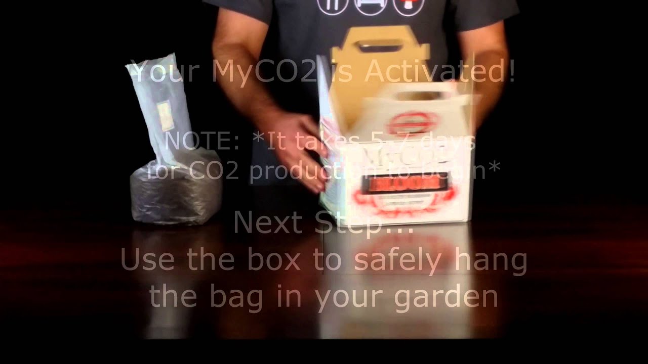 MyCO2 Mushroom Kit - Activation Instruction Video - YouTube