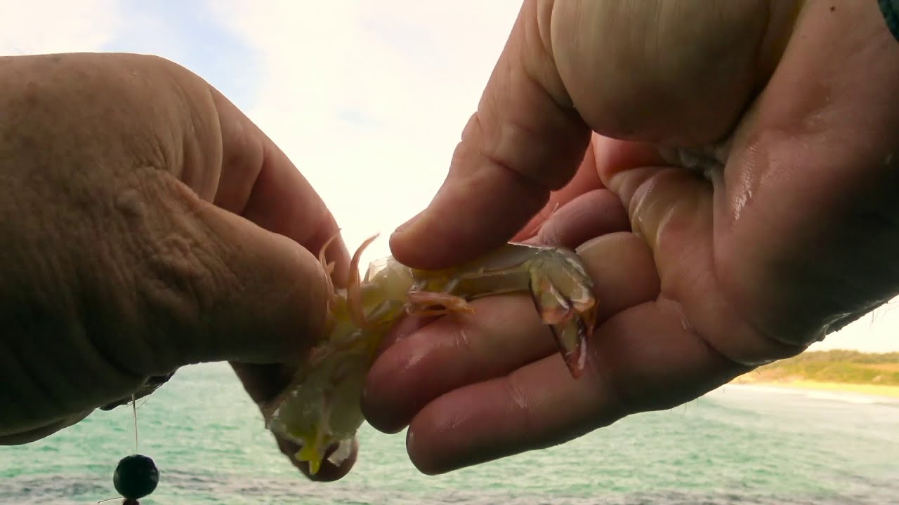 HOW-TO TIP: Simple Rock Fishing Rig - YouTube