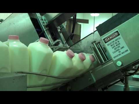 Case Packer: Statco Model D-HS Slant Caser