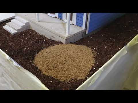 Can Termites Bite Through Plastic
