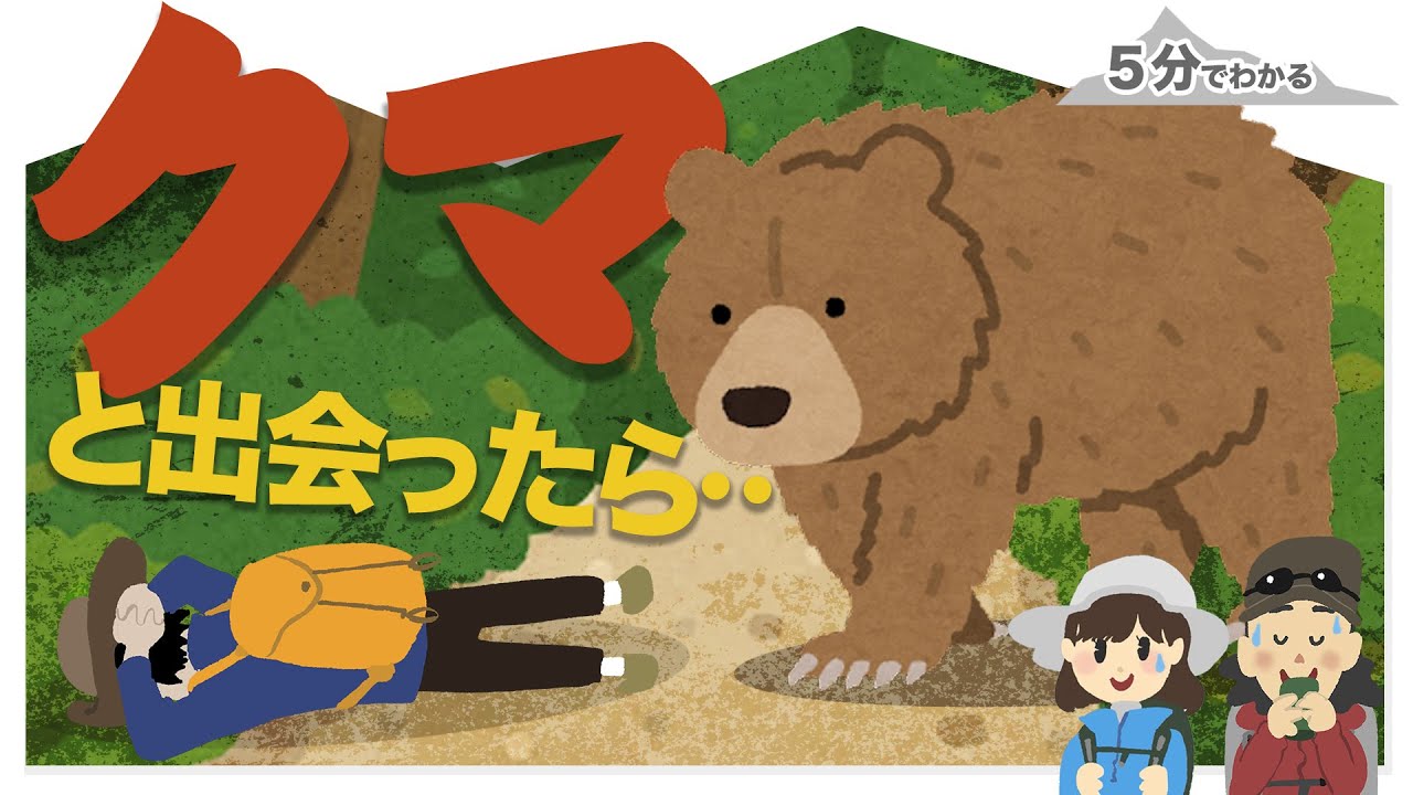 登山中にクマに遭遇したらどうする!?ng行動、注意点を解説 Youtube