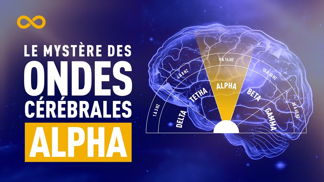LE MYSTÈRE DES ONDES CÉRÉBRALES ALPHA (NEUROSCIENCES - CERVEAU) - YouTube