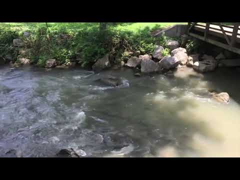 Tyson Park & Third Creek Greenway ~ 30 Days of Knoxville (Day 15) - YouTube