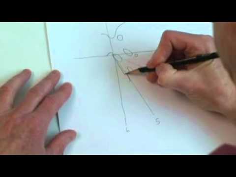 Drawing the temporal bone with Jorlam - YouTube
