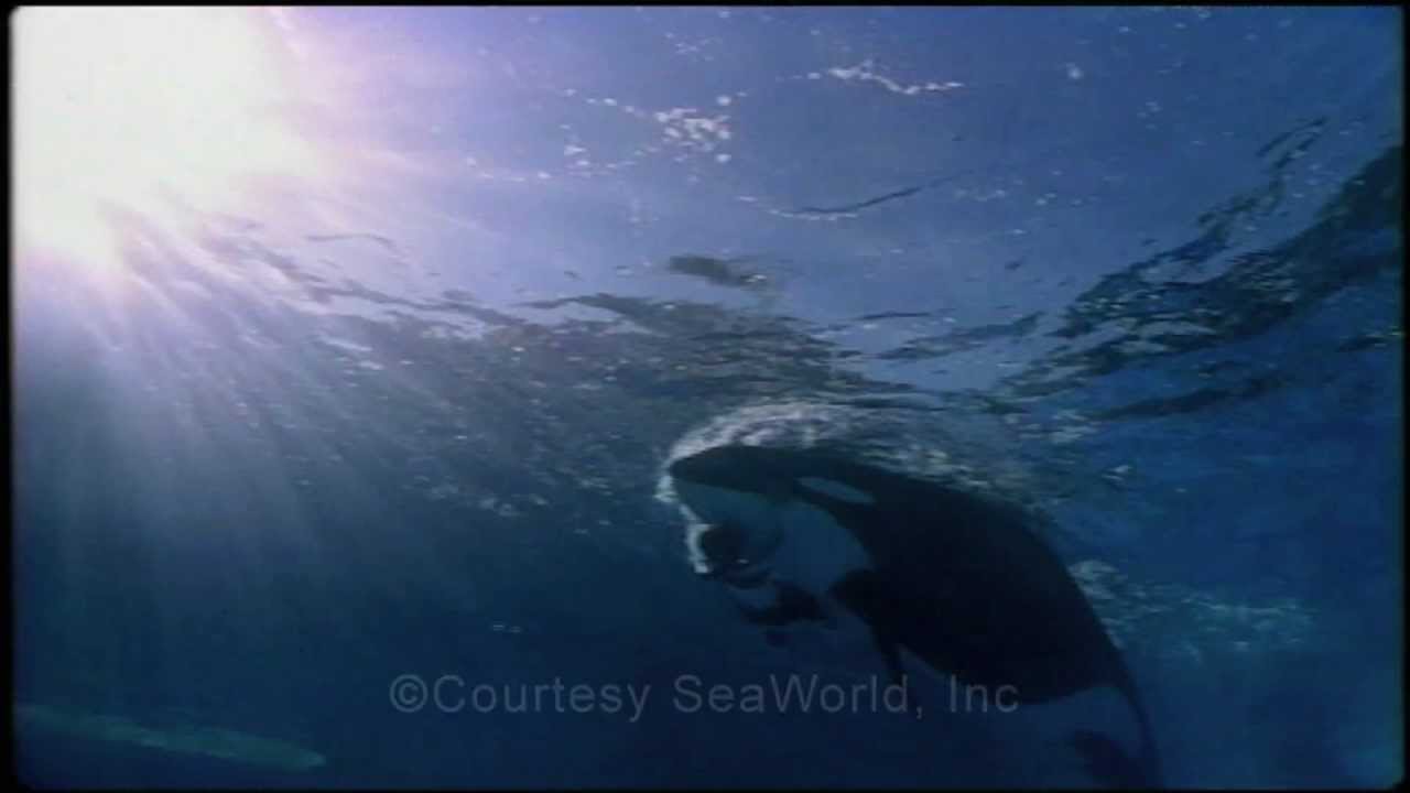 Seaworld Ad - YouTube