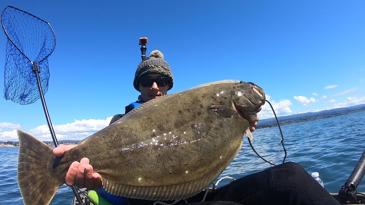 This GREEDY FISH Bit 3 TIMES!!! Halibut/Lingcod Kayak Combo - YouTube