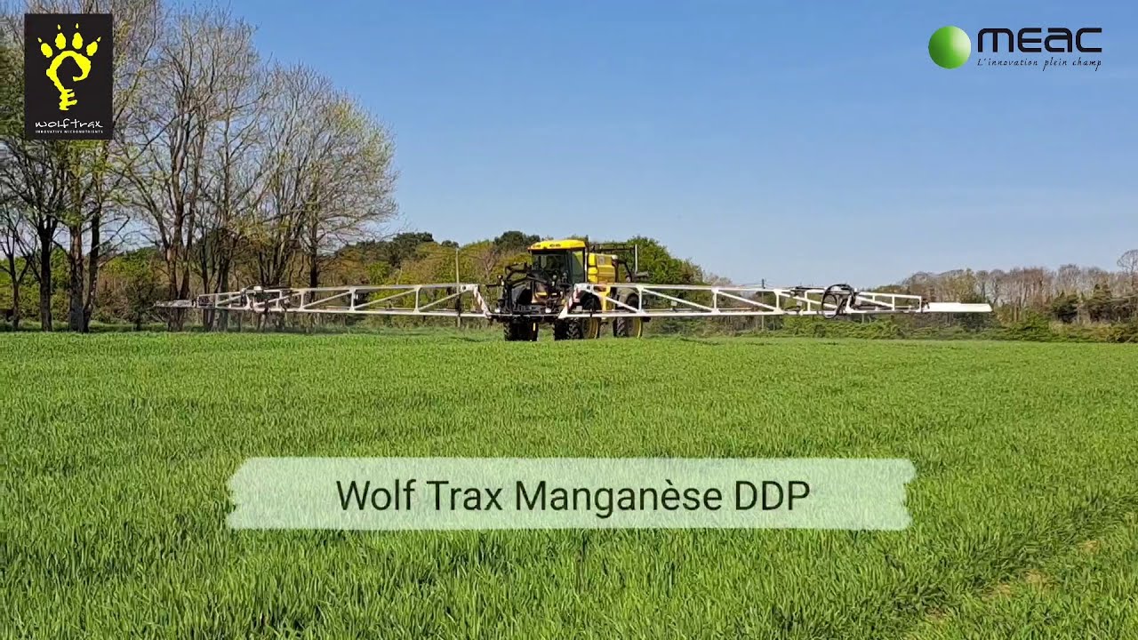 Présentation - Wolf Trax DDP Manganèse - YouTube