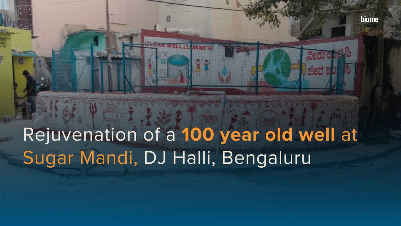 The Revival of a 100-Year-Old Well in DJ Halli, Bengaluru: A Community ...