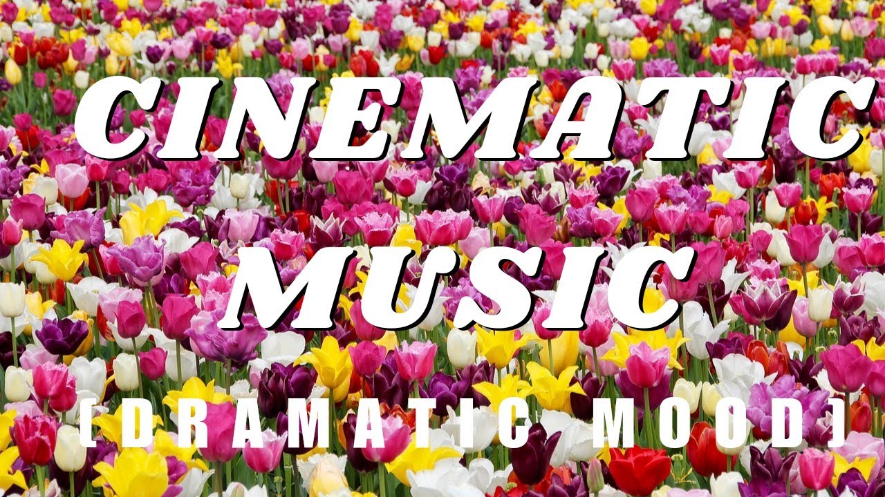 Dramatic Series Theme - Freedom Trail Studio | Cinematic & Dramatic ...