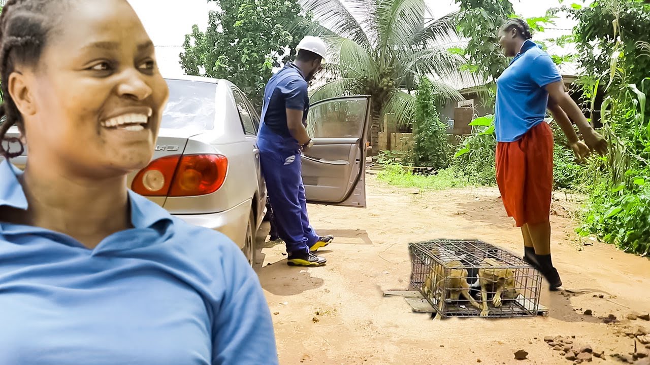 HOW THE DOG SELLER WON THE HEART OF THE RICH CONTRACTOR SENT TO THE ...