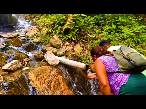 Ikogosi warm spring | Meet the spring in Nigeria that produces both hot ...