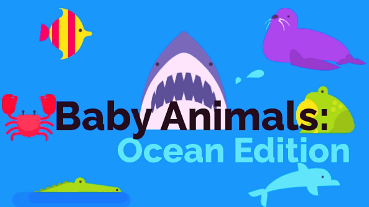 Baby Animals: Ocean Edition - YouTube