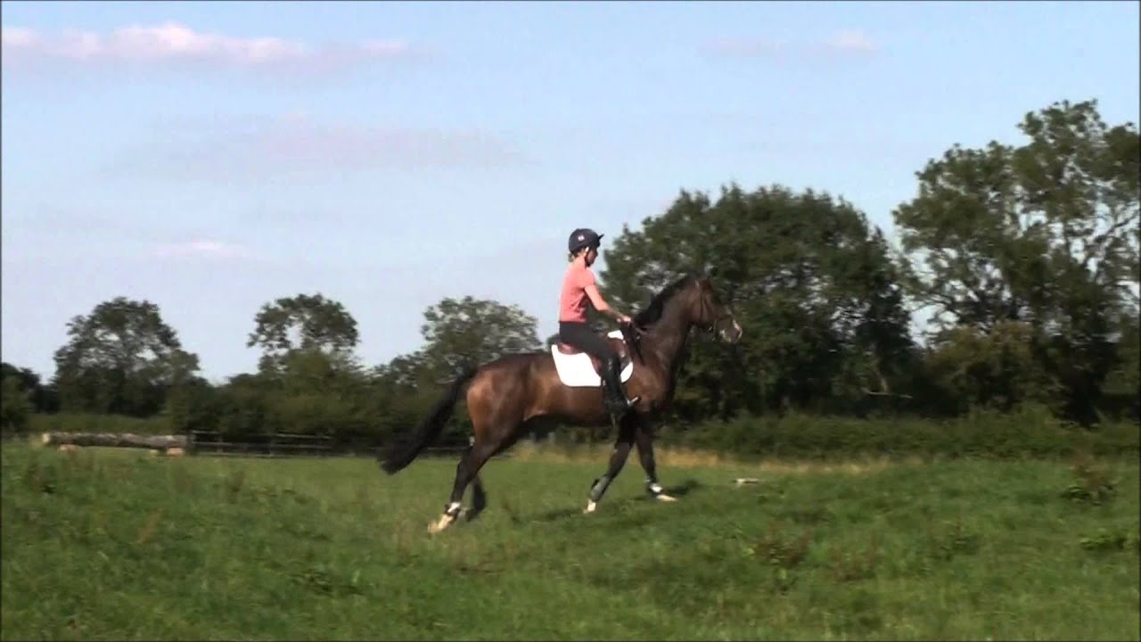Charlie XC September 2015 - YouTube