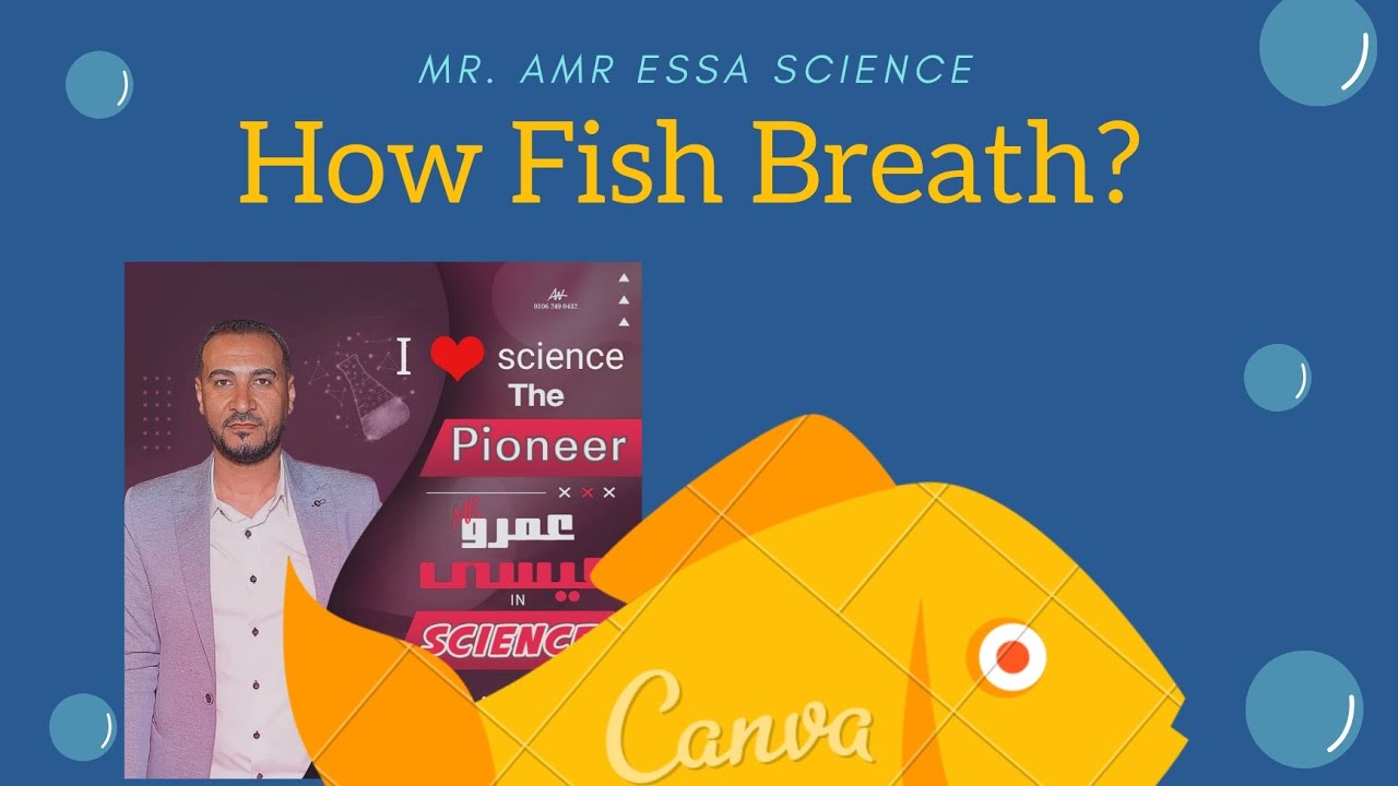 How Fish Breath? Grade 4 Lesson 5 Unit 1 Term 1 - YouTube