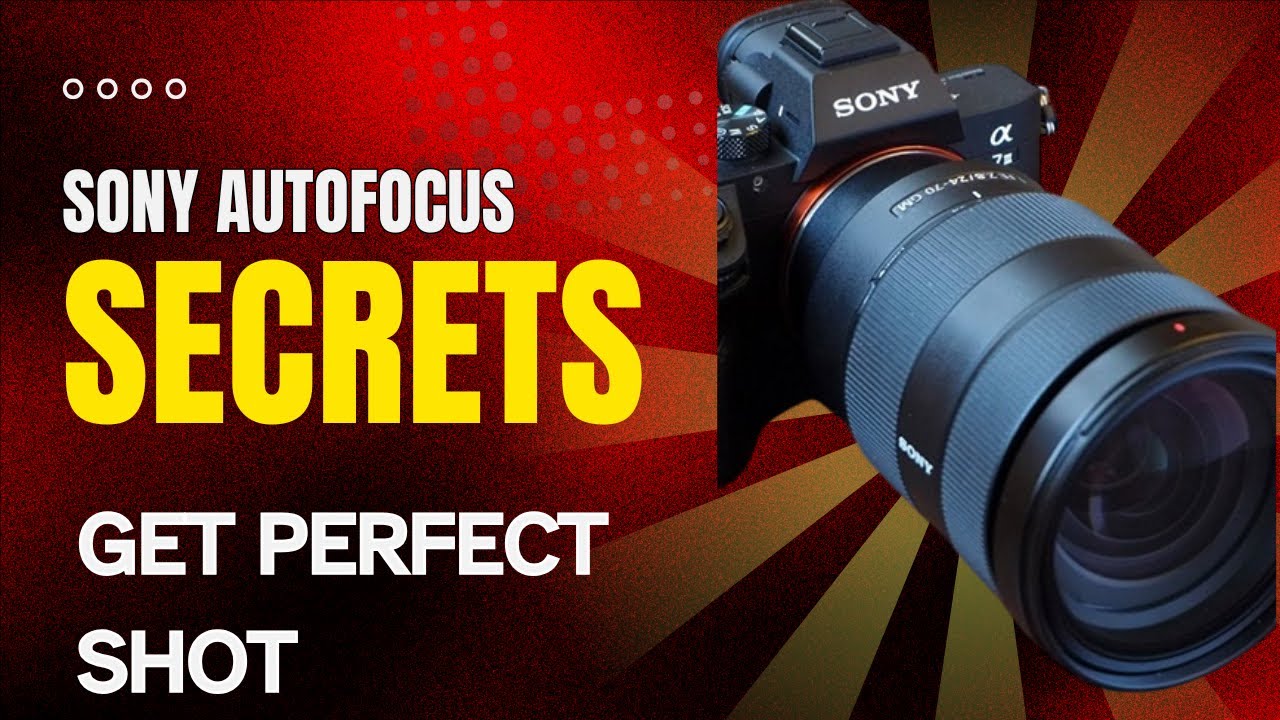 "STOP Using the wrong Focus Mode !(AF-S,AF-C,MF Guide)" - YouTube